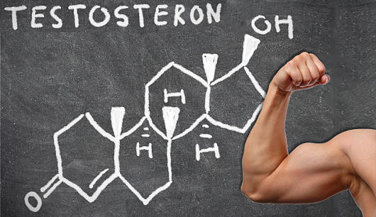 Jenis Makanan Untuk Meningkatkan Testosteron