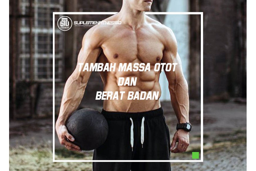 Tambah Massa Otot dan Berat Badan | SFIDN - Science From Indonesia Articles