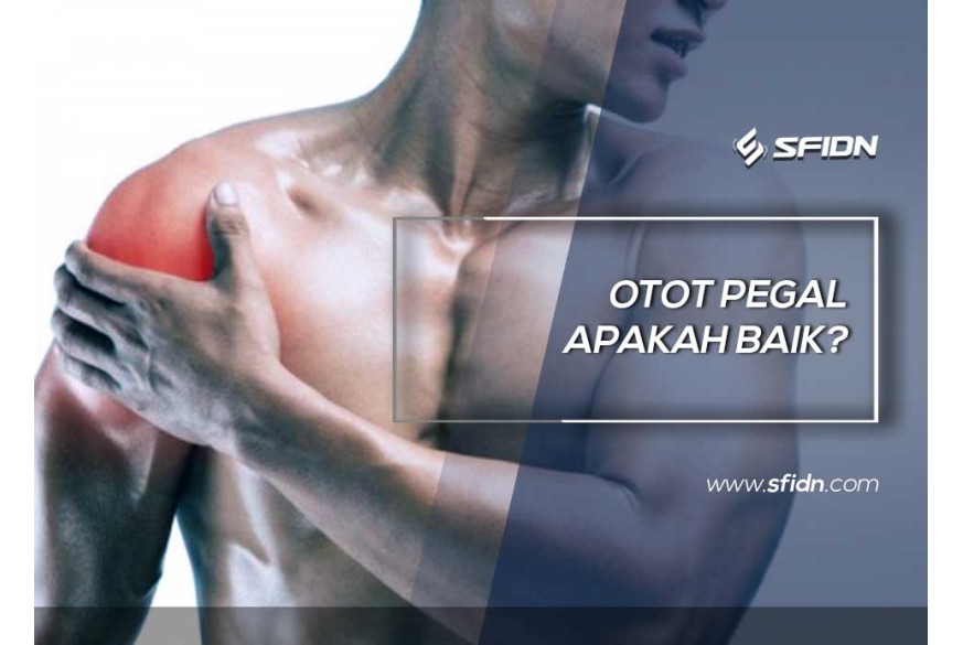 Otot Pegal Apakah itu Baik? | SFIDN - Science From Indonesia Articles