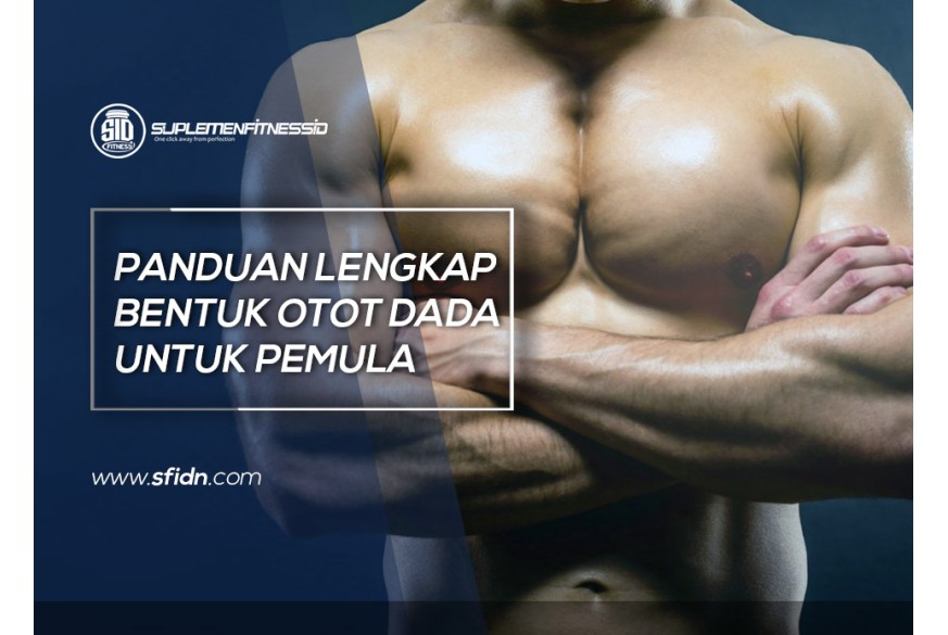 Panduan Lengkap Bentuk Otot Dada Pemula | SFIDN - Science From ...