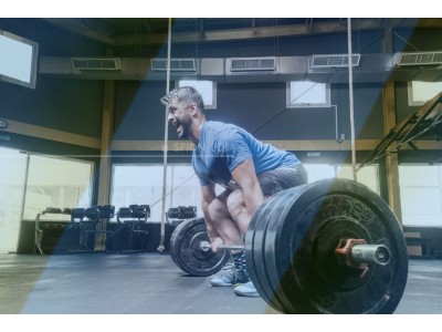 SFIDN - Science From Indonesia Articles