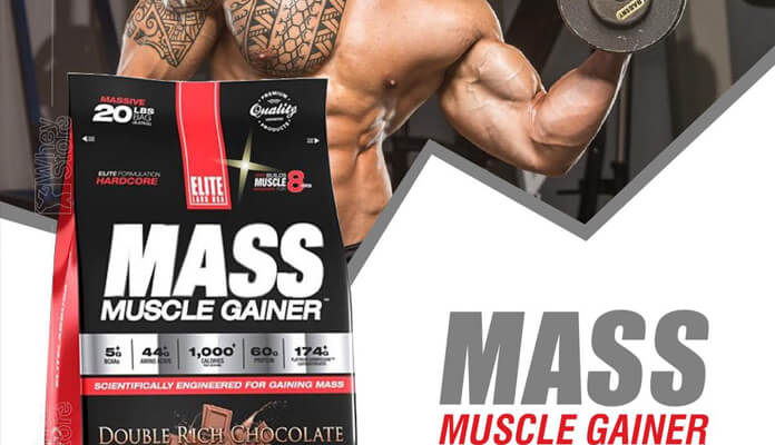 Top 5 Weight dan Mass Gainer Terbaik | SFIDN - Science From Indonesia ...