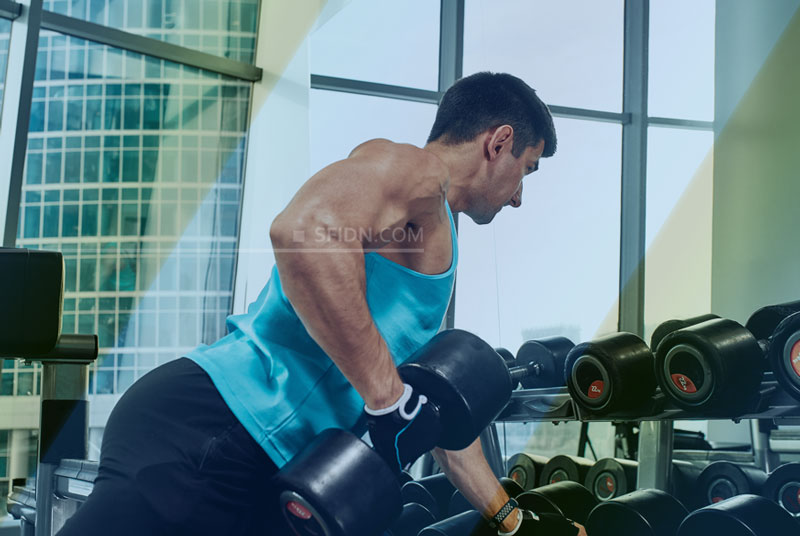 Apa Itu Latihan Isotonik, Manfaat, dan Contohnya? | SFIDN - Science ...