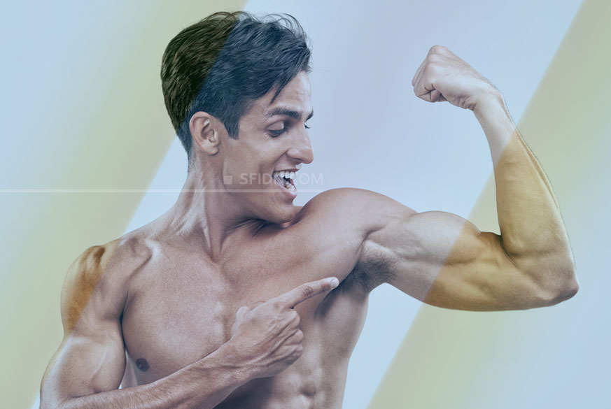 Perbedaan Otot Biceps Brachii, Brachialis, dan Brachioradialis | SFIDN ...