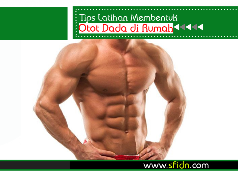 Tips Latihan Membentuk Otot Dada di Rumah Tips Latihan Membentuk Otot Dada di Rumah