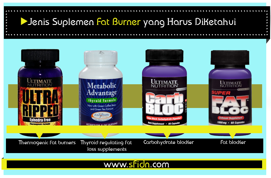 Jenis Suplemen Fat Burner Yang Harus Diketahui | SFIDN - Science From ...