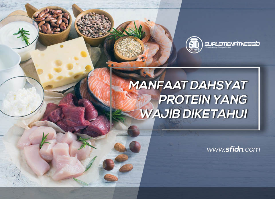 Manfaat Dahsyat Protein yang Wajib Diketahui