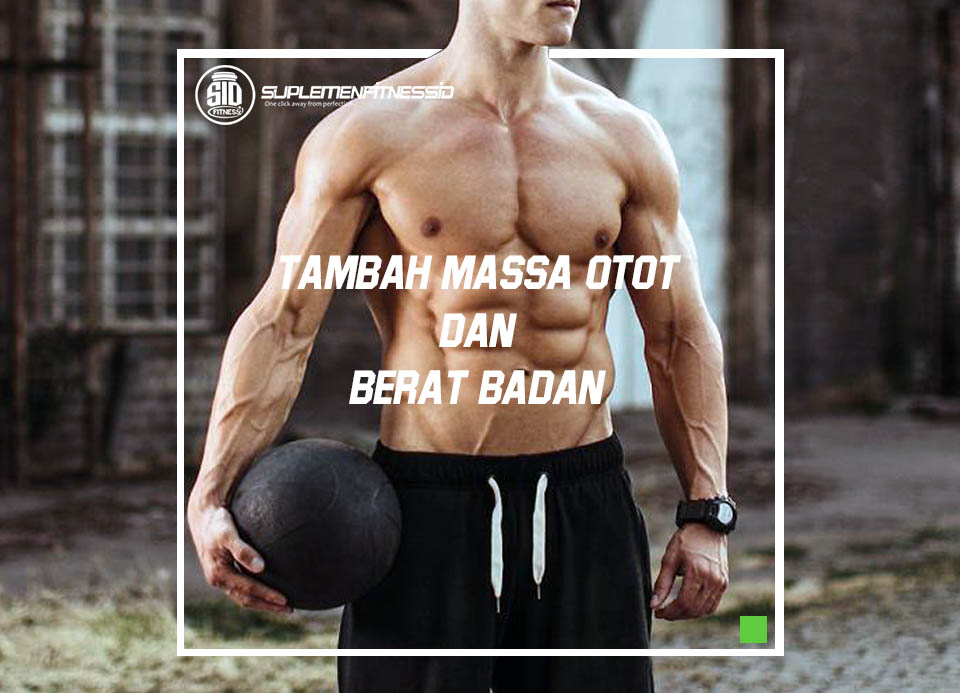 Tambah Massa Otot dan Berat Badan